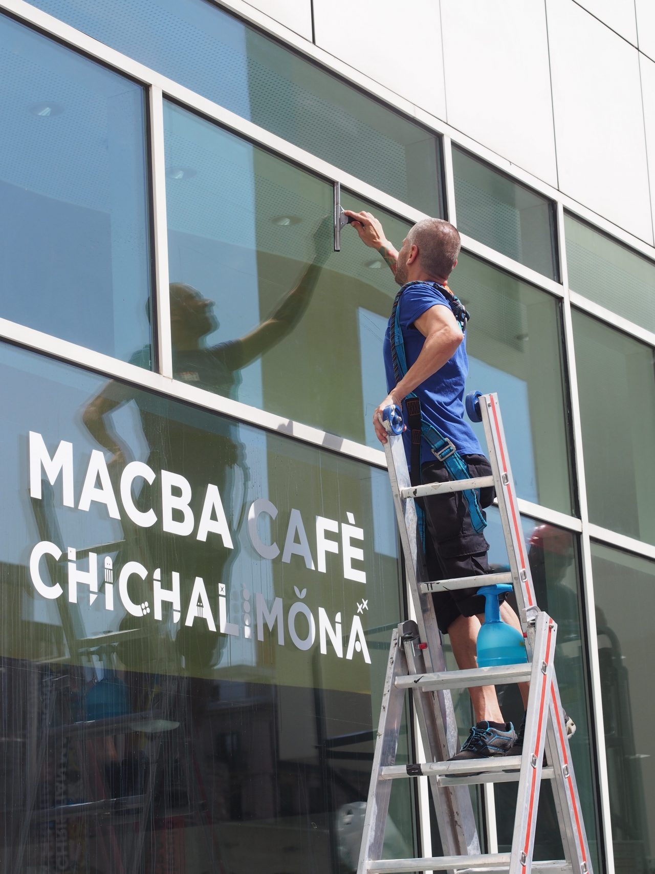 Instalación de lámina Prestige 40 de 3M™ en MACBA Café | BSI - Barcelona Serveis Integrats